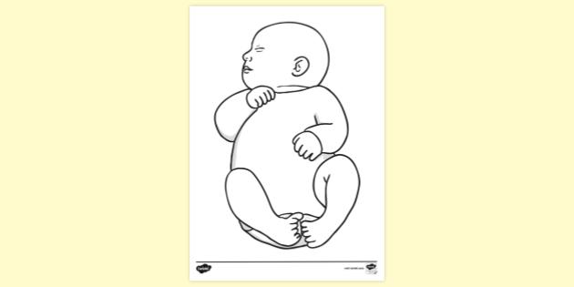 FREE! - Newborn Baby Colouring Sheet | Colouring Sheet