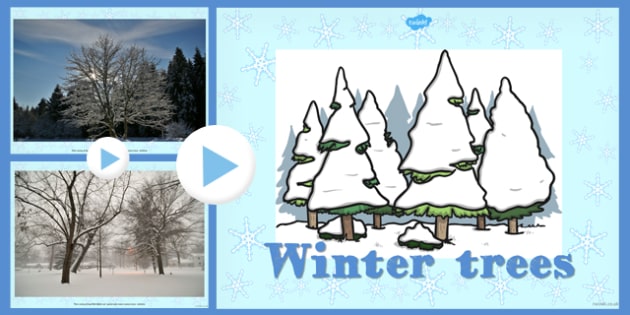 Winter Trees Photo PowerPoint (teacher made)