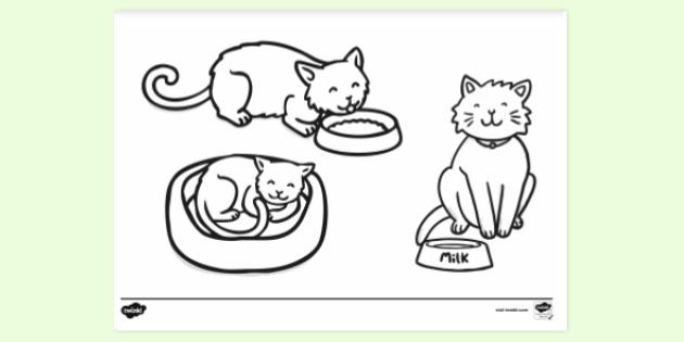 FREE! - Kitty Colouring | Colouring Sheets (teacher made)