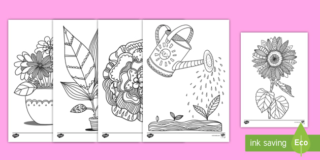 Plants and Growth-Themed Coloring Activity - color, plant cycle, art