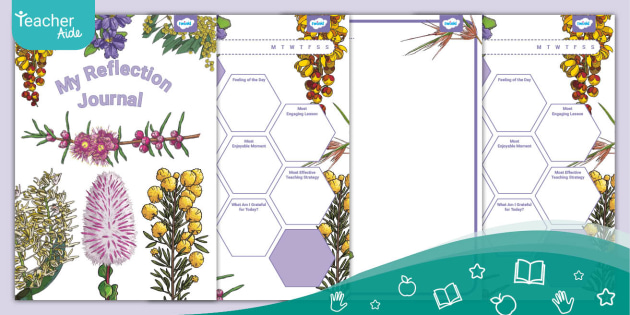 Teacher Aide Wellbeing Reflection Journal (teacher made)