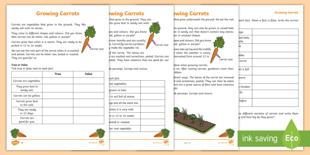 KS1 Growing Carrots Differentiated Worksheets