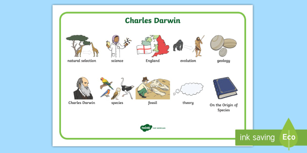 Charles Darwin Word Mat (teacher made)