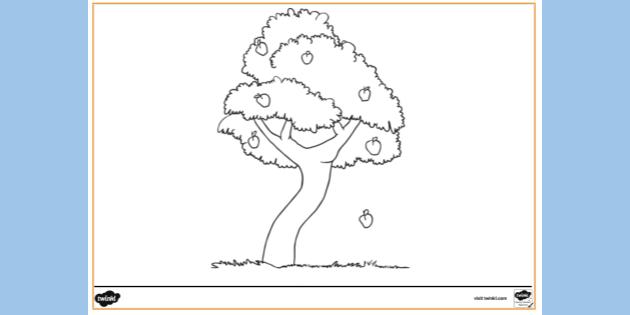 FREE! - Gravity Colouring Sheet - KS1 (teacher made)