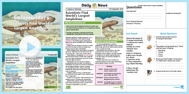 World's Biggest Amphibian Reading Comprehension | NewsRoom