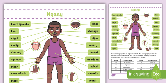 Noongar Language Body Parts Poster (teacher made)
