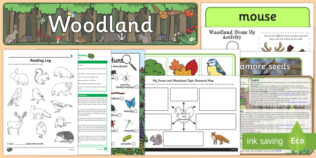 Forest Animals and Woodlands | KS1 Resource Pack | Twinkl