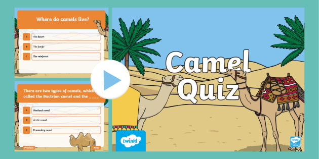 FREE! - Camel Quiz PowerPoint (Teacher-Made)