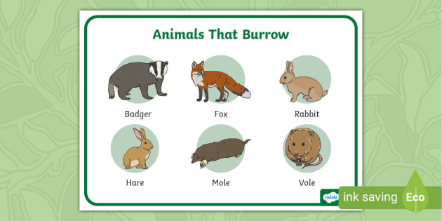 Burrowing Animals List