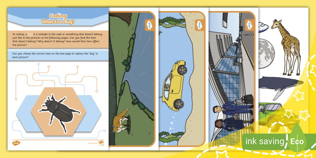 Coding - What Is a Bug Activity Sheets (teacher made)