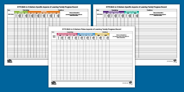 EYFS Birth to 5 Matters Aspects Termly Progress Record