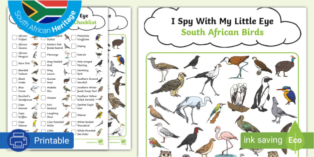 South African Birds - I Spy Game - Printable