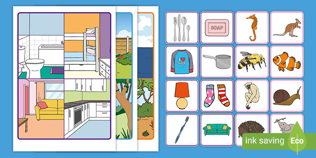 Sorting Categories Activity (teacher made)