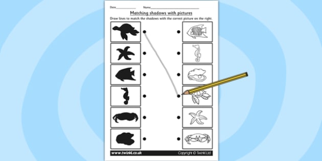 Under the Sea Shadow Matching Worksheet (teacher made) Under the Sea Shadow Matching Worksheet (teacher made)