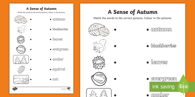 A Sense of Autumn Word and Picture Matching Worksheet / Worksheet