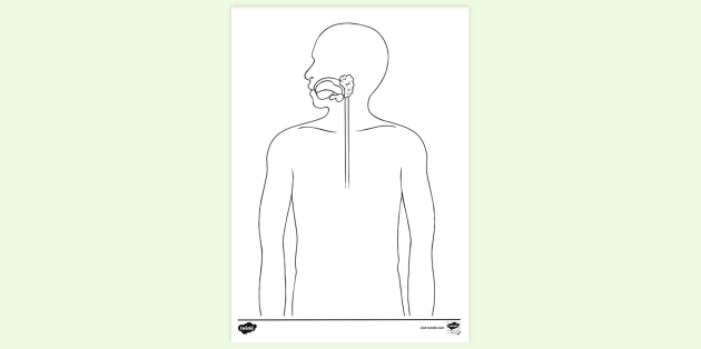 Torso Colouring Sheet | Colouring Sheets
