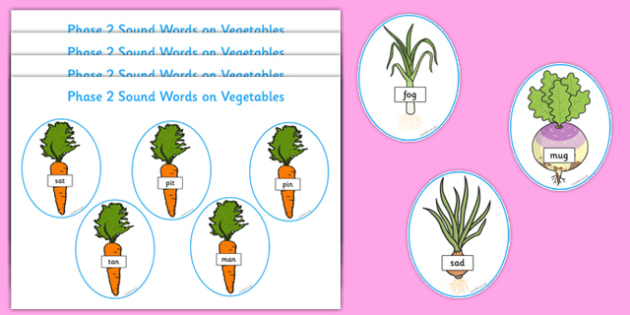 Phase 2 Sound Words on Vegetables Word Cards (teacher made)