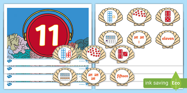 Seashells Representing Numbers 11 - 20 Sorting Activity