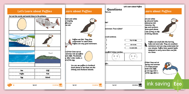 Let's Learn about Puffins Differentiated Reading Comprehension