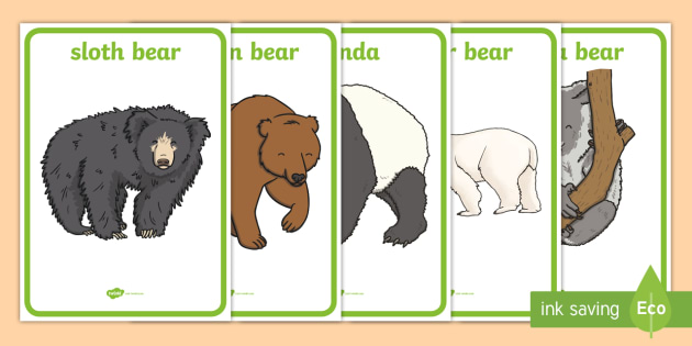 FREE! - Bears Display Posters (teacher made)