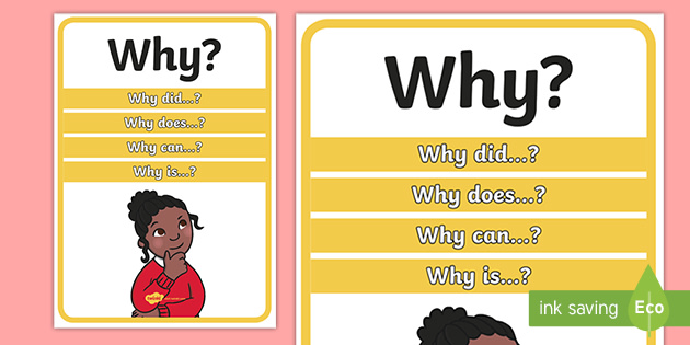 Why? Question Poster (teacher made)