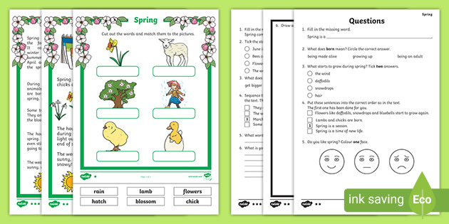 Let's Find Out About Spring Differentiated Reading Comprehension