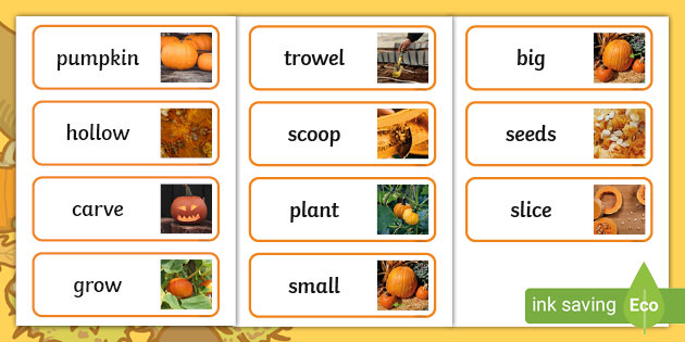 EYFS Exploring Pumpkins Word Cards (teacher made)