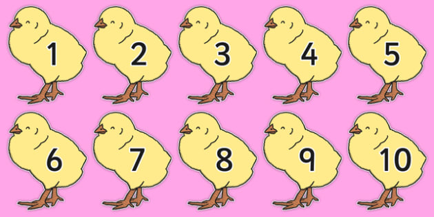 Numbers 0-50 on Chicks (teacher made)