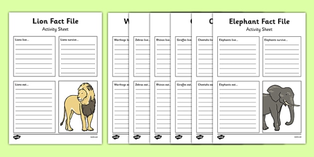 African Animals Fact File Worksheets Twinkl Resources