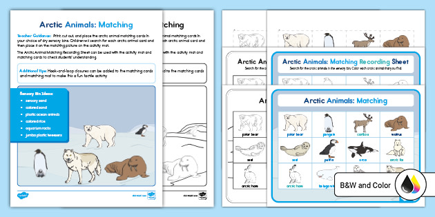 Arctic Animals Sensory Bin Matching Activity Mat