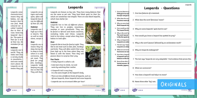 First Level Leopards Differentiated Reading Comprehension Activity