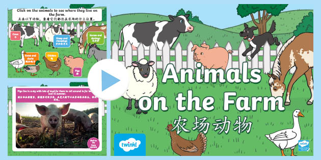 KS1 Animals on the Farm PowerPoint - English/Mandarin Chinese