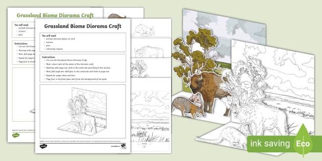 Geography Dioramas | twinkl.com.au