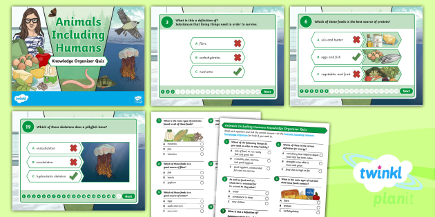 Animals, Including Humans, Year 3 Knowledge Organizer Quiz