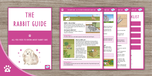 The Ultimate Rabbit Handbook - Pet Care Guide - Twinkl Pets