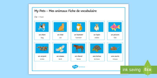 My Pets Word Mat French (teacher made)