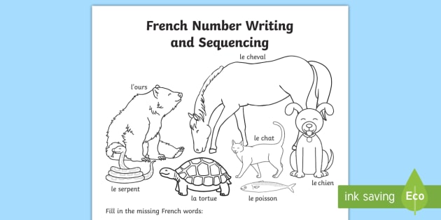 French Numbers Worksheet | French | Primary Education