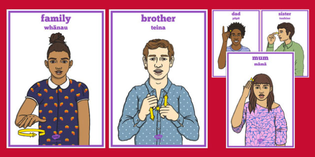 NZ Sign Language Words for Family Pack | New Zealand Primary