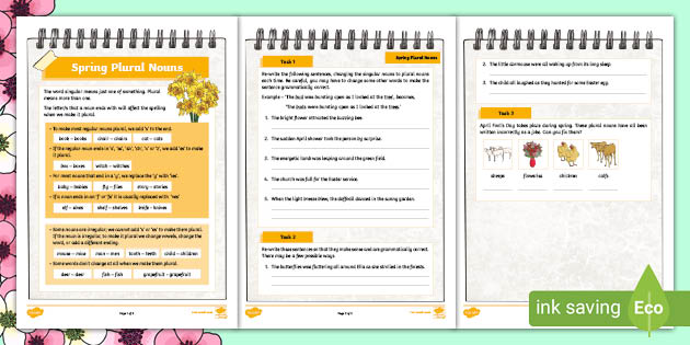 Spring Plural Nouns Activity (teacher made)