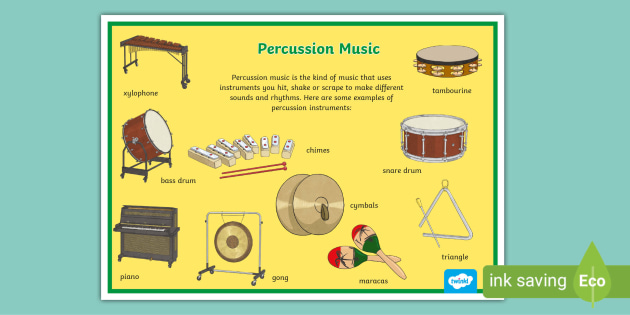 10 Examples Of Percussion Instruments