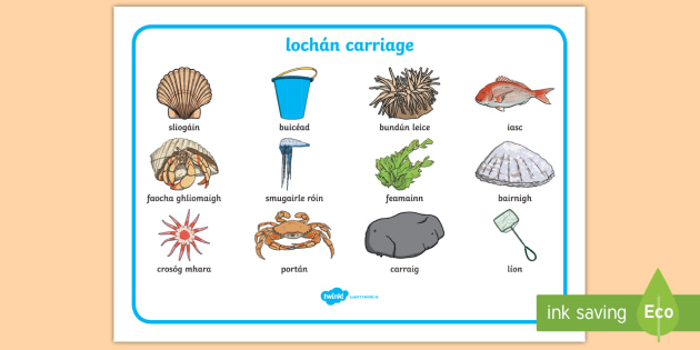 lochán carriage Seaside Rock Pool Word Mat Gaeilge