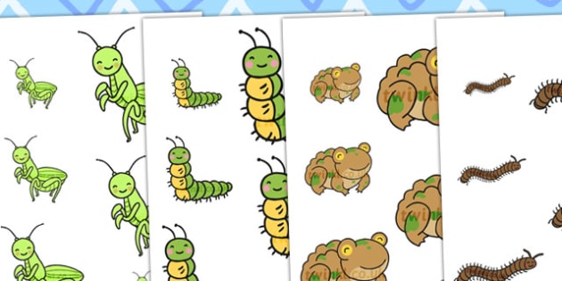 Minibeasts Size Ordering (Teacher-Made)