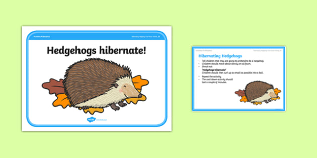 Foundation PE (Reception) Hibernating Hedgehogs Cool-Down Activity Card