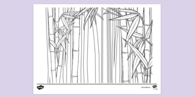 FREE! - Bamboo Background Colouring Sheet | Colouring Sheets