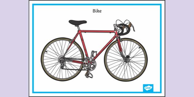 FREE! - Bike Display Poster | Primary Resources