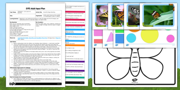 Butterfly Shape Matching EYFS Adult Input Plan and Resource Pack - plan