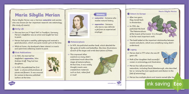 Maria Sibylla Merian Fact File (teacher made)