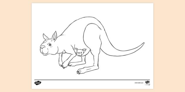 FREE! - Procoptodon Colouring | Colouring Sheets