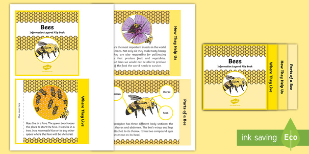 Bees Information Layered Flip Booklet (teacher made)