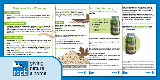 FREE! - Make Your Own Wormery (Ages 7 - 11) (teacher made)